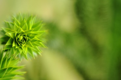 Climate and Environment – AARC Ltd